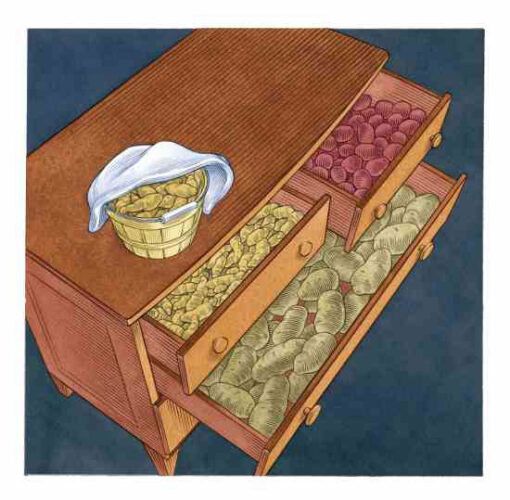 Top Storage Crops: How to Properly Store Fruits and Vegetables – Mother ...